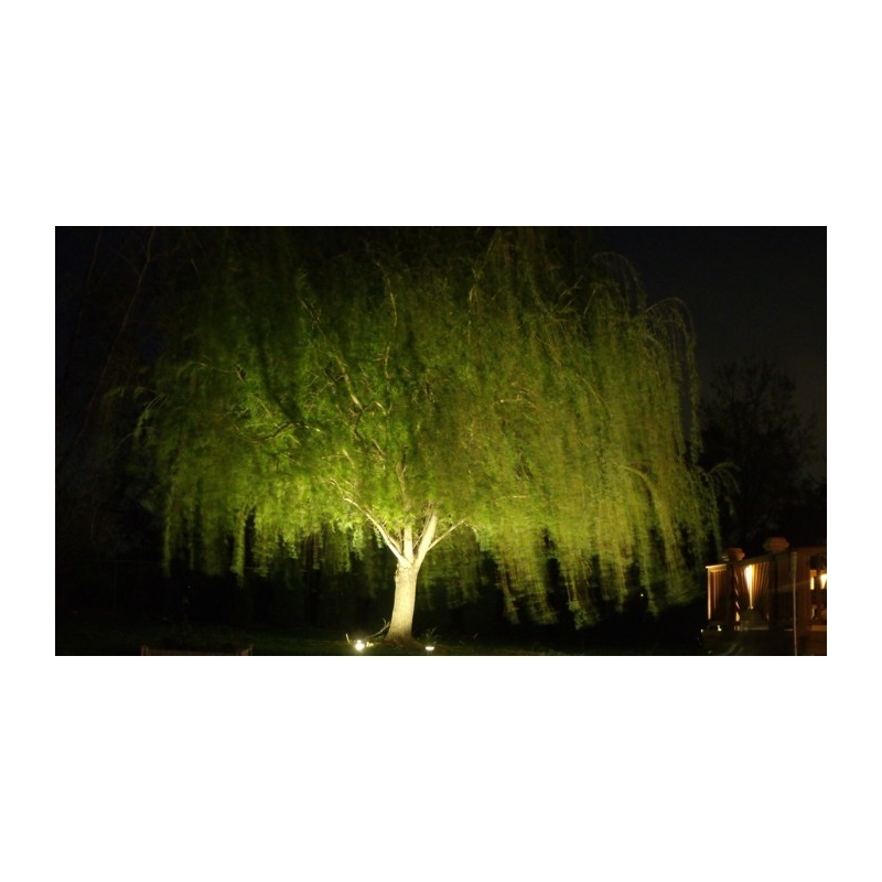 PVC 12V LED PAR36 Well Light w/ Adjustable Gimbal - Bright Choice Lighting