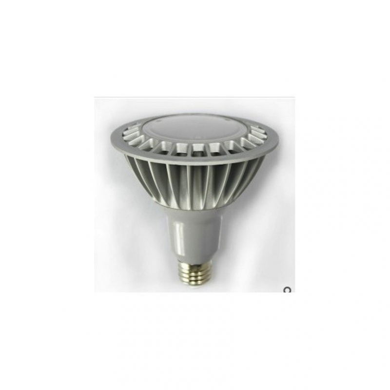 Fiberglass 120V LED PAR38 Well Light with Open Face - Bright Choice ...